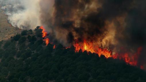 Mysteries at the Museum | Discovery