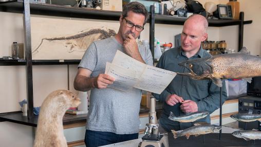 Mysteries at the Museum | Discovery