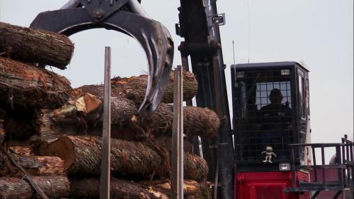 American Loggers | Discovery