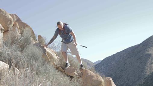 Venom Hunters | Discovery