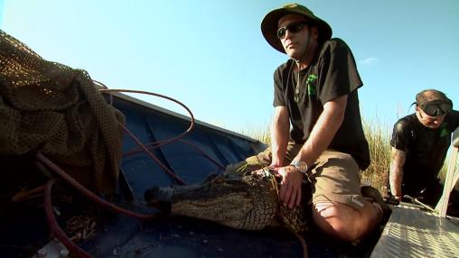 Swamp Brothers (wt) | Discovery