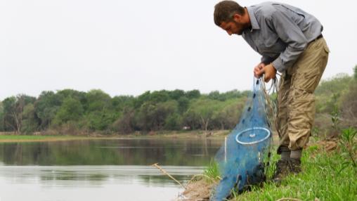 The Wheel | Discovery