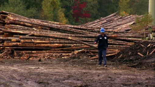 American Loggers | Discovery