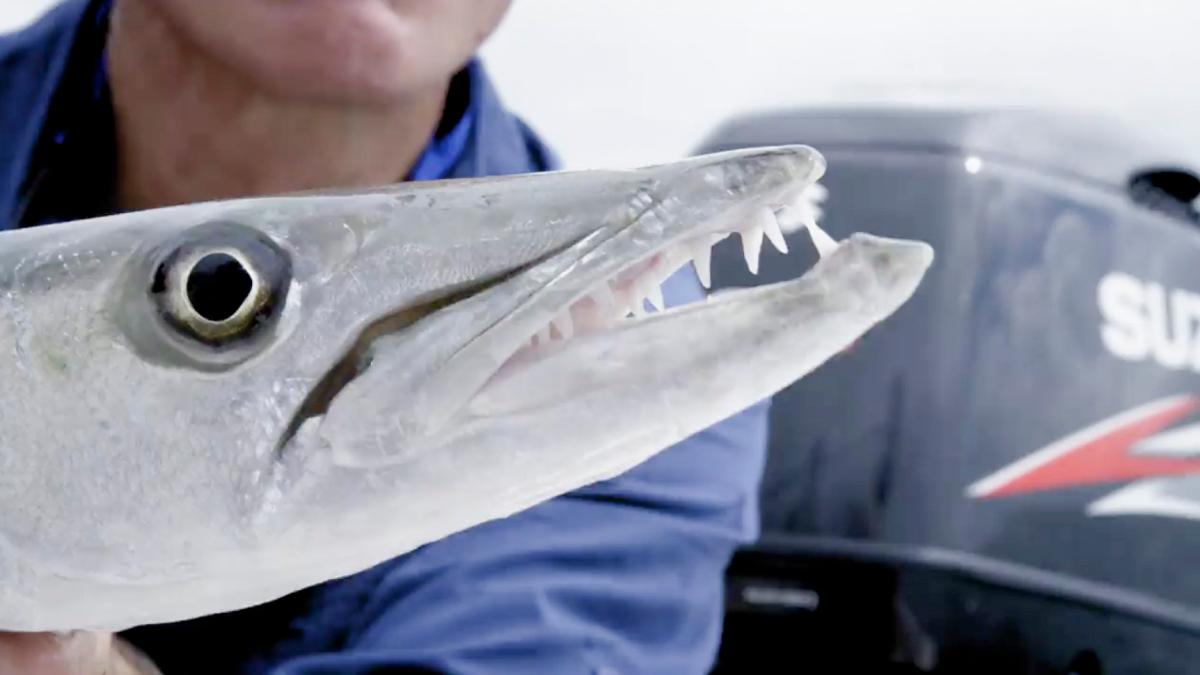 River Monsters Razor Head "River Monsters" Flesh Ripper (TV Episode