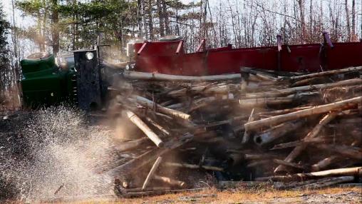 American Loggers | Discovery