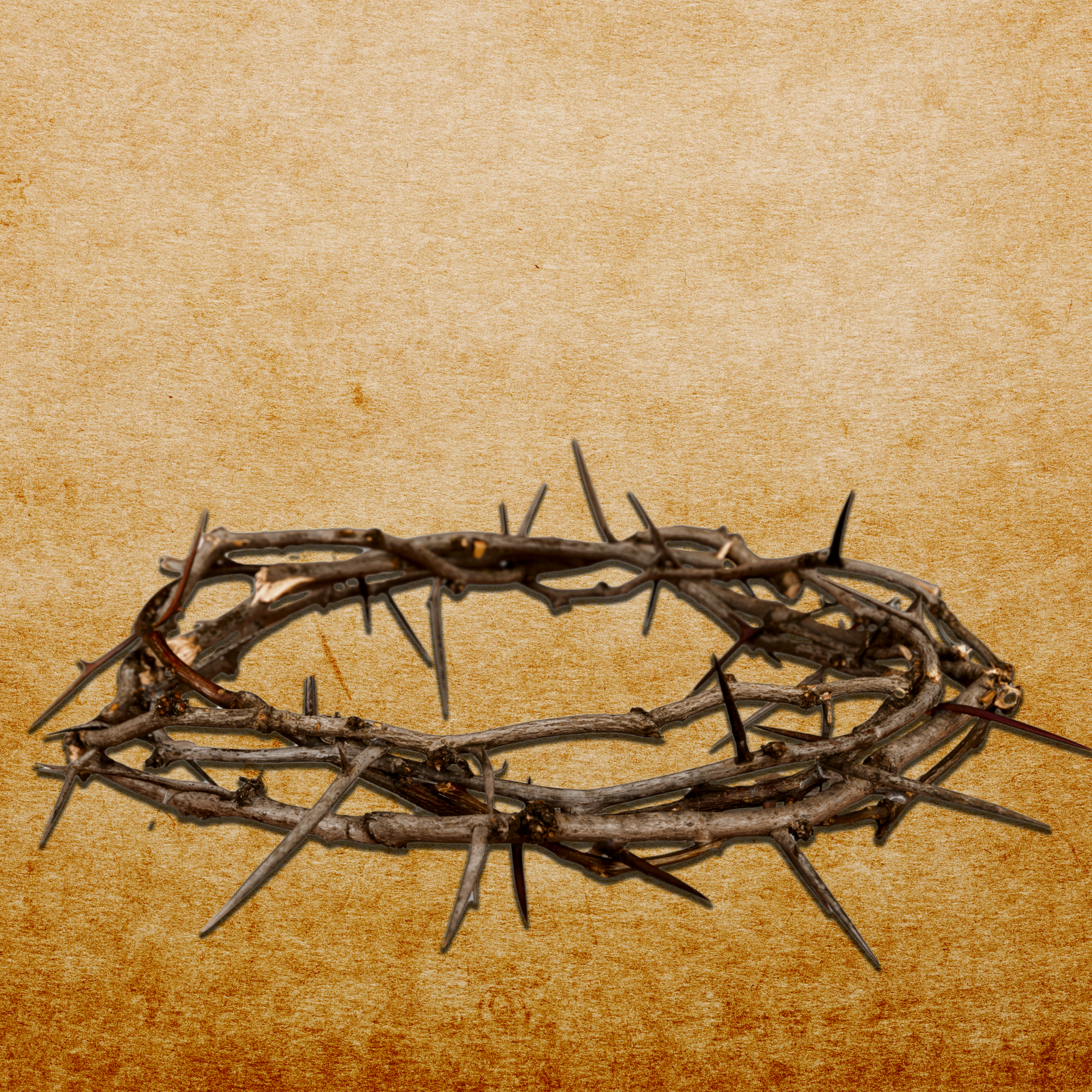 Stream Who Was Jesus? | discovery+