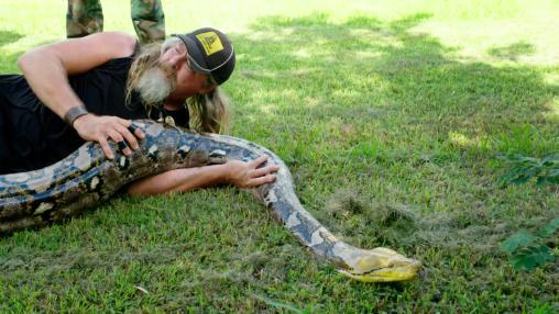 Guardians of the Glades | Discovery