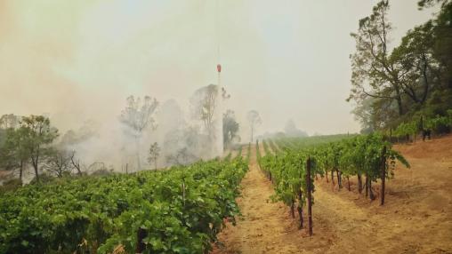 Discovery Channel's Cal Fire | Discovery