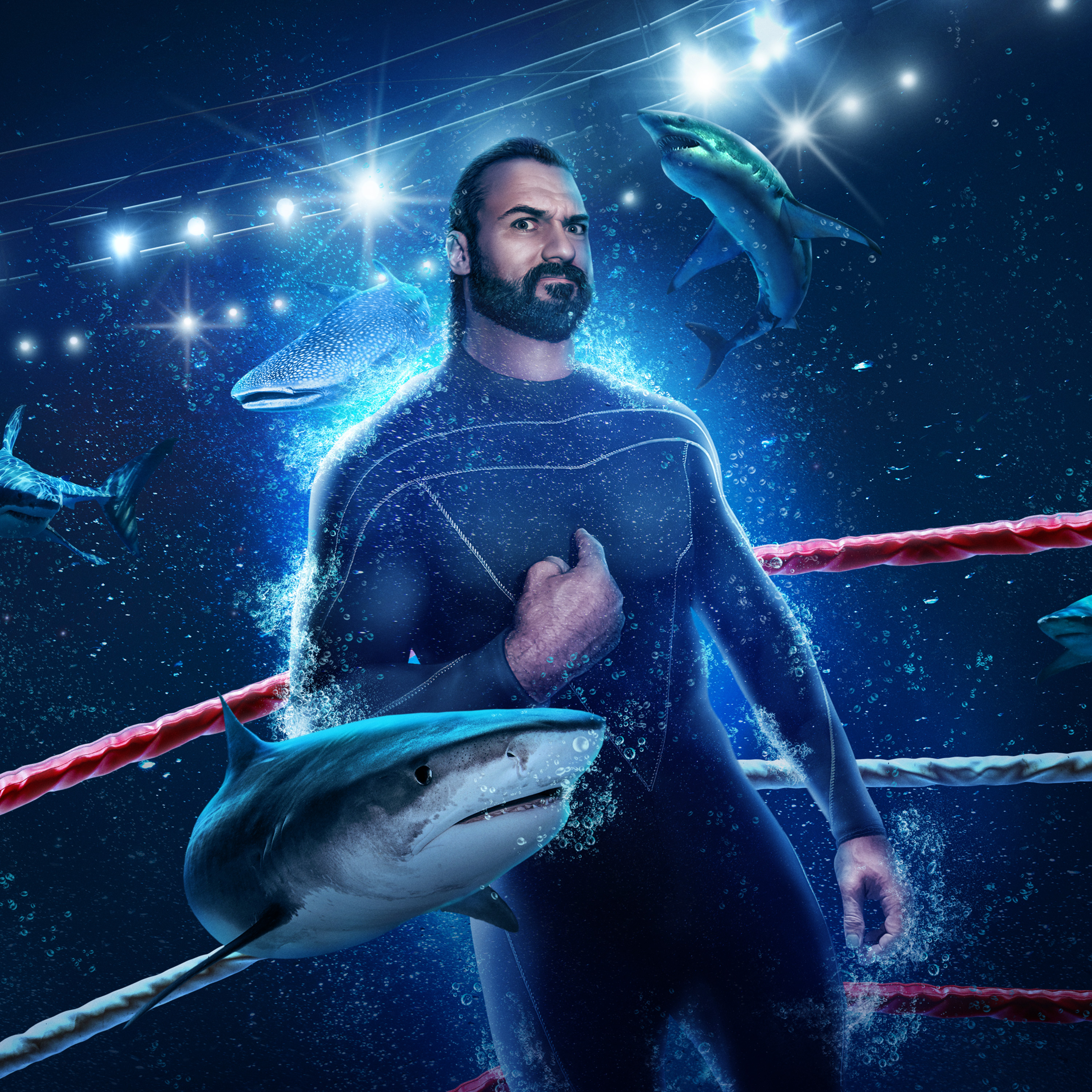 Stream Shark Rumble | discovery+