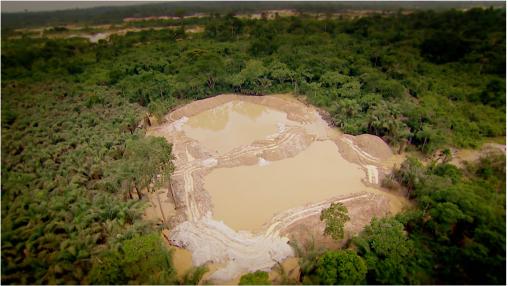 Jungle Gold | Discovery