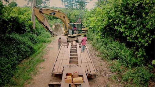 Jungle Gold | Discovery