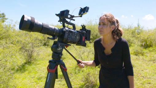 Watch Expedition X on Discovery Channel | Discovery