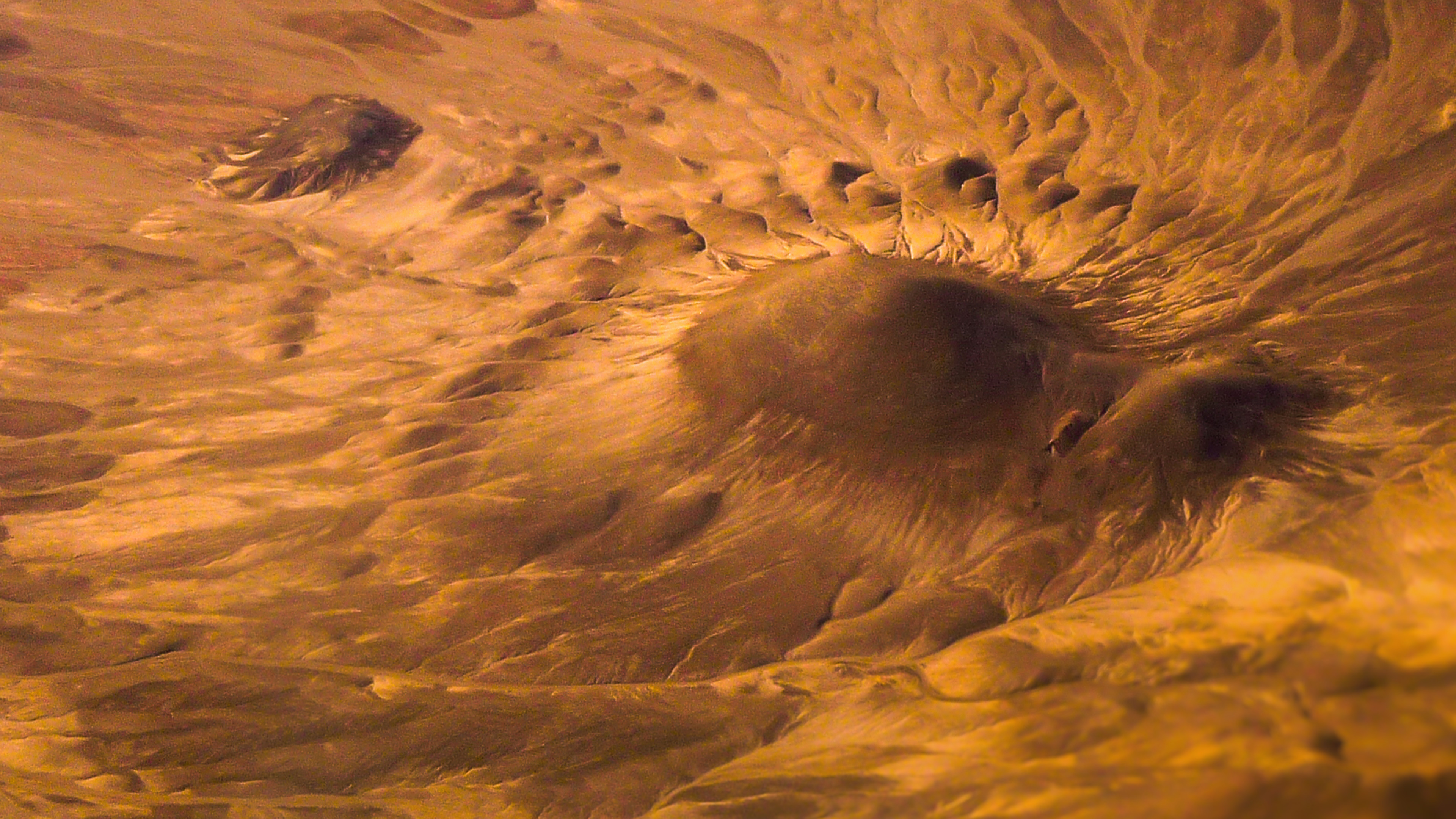 Stream What on Earth? | discovery+