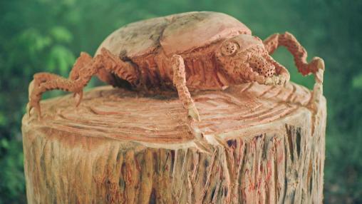 A Cut Above | Discovery