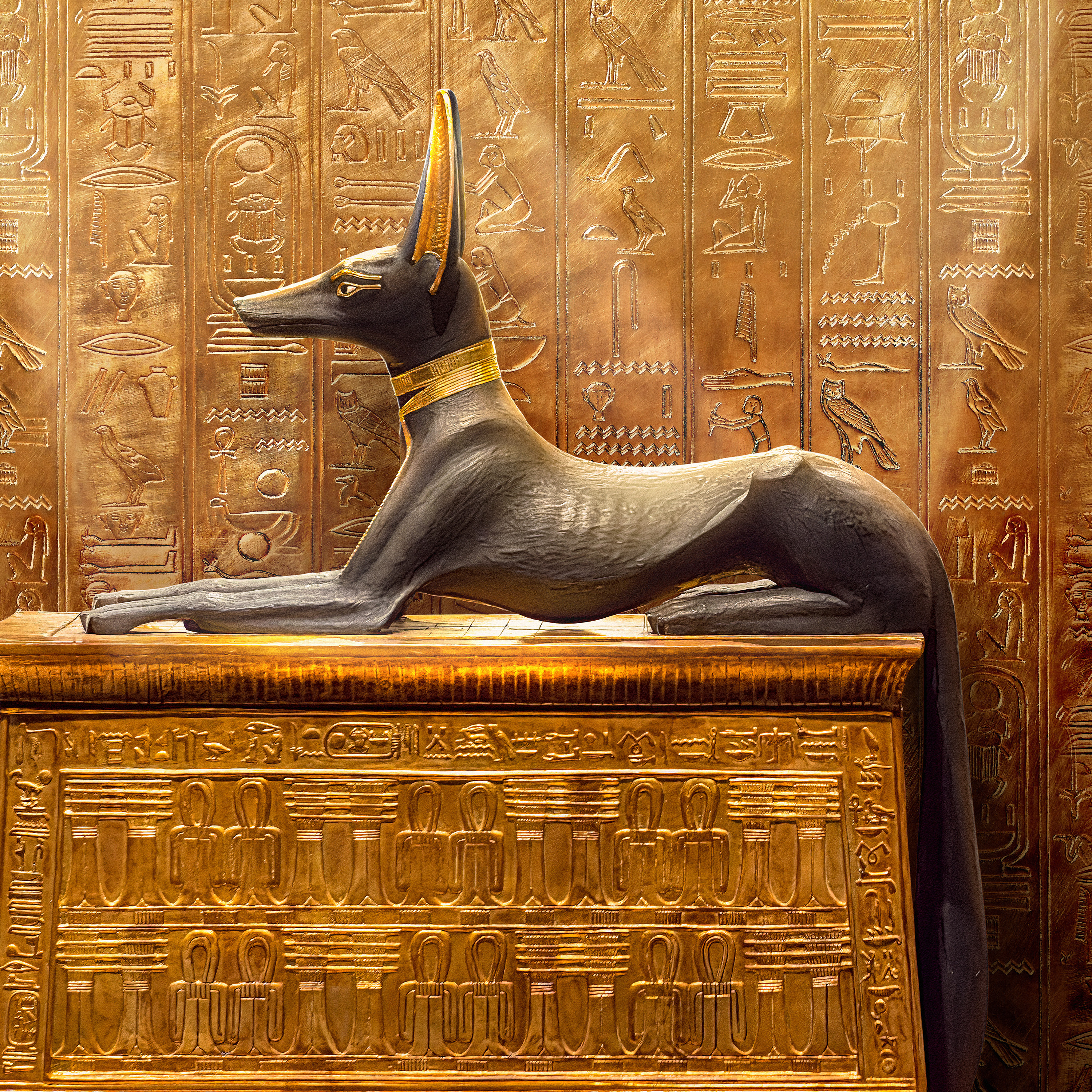 Stream King Tut: A Century of Secrets | discovery+