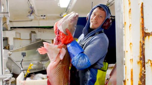 Ice Cold Catch | Discovery