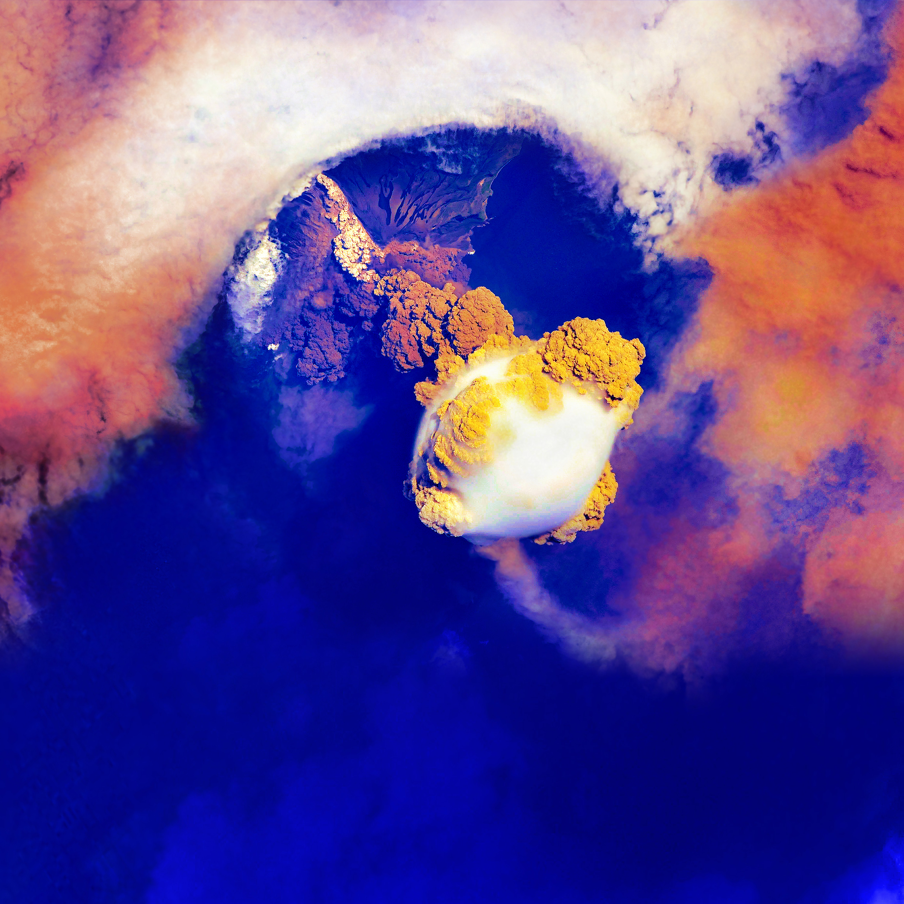 Stream What on Earth? | discovery+