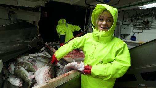 Ice Cold Catch | Discovery