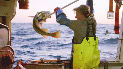 Ice Cold Catch | Discovery