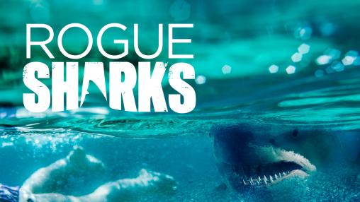 Rogue Sharks | Discovery