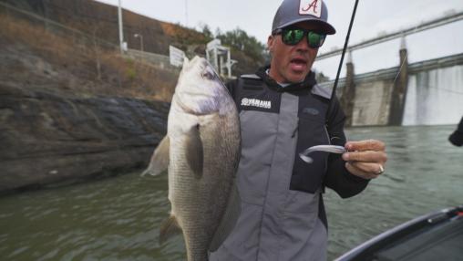 The Scott Martin Challenge | Discovery