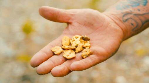 Gold Rush | Discovery