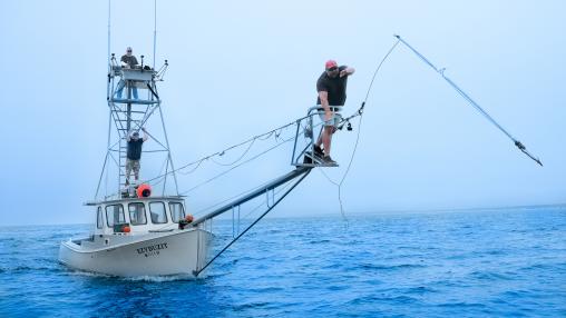 Harpoon Hunters | Discovery