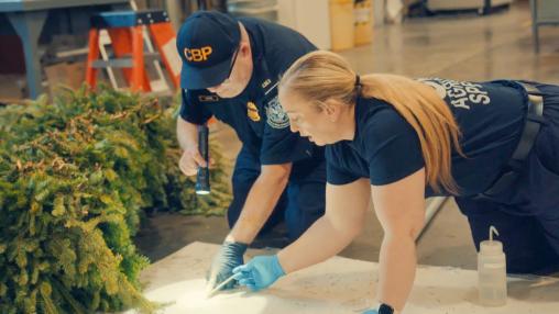 Contraband: Seized at the Border | Discovery