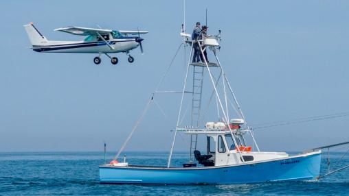 Harpoon Hunters | Discovery